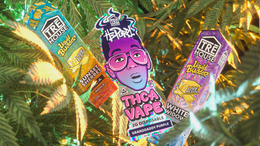 Cannabis Vape Pens 101: What Are the Best THC Vape Pens for Beginners ...