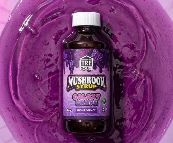 Mushroom Syrups | Natural & Unique Blend Mushroom Extracts - TRĒ House
