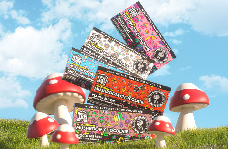Extra-Strength Mushroom Chocolate Bar - 5 Flavors - TRE House