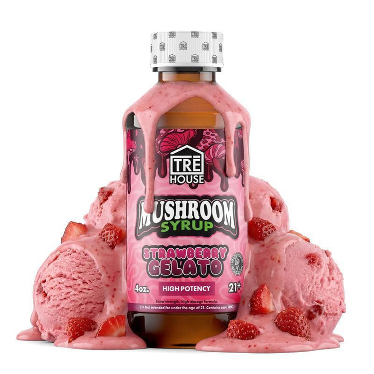 Mushroom Syrups | Natural & Unique Blend Mushroom Extracts - TRĒ House