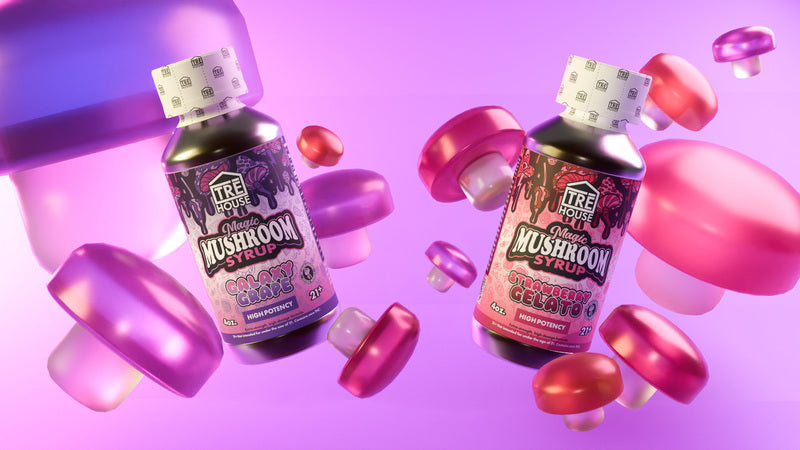 Mushroom Syrups | Natural & Unique Blend Mushroom Extracts - TRĒ House