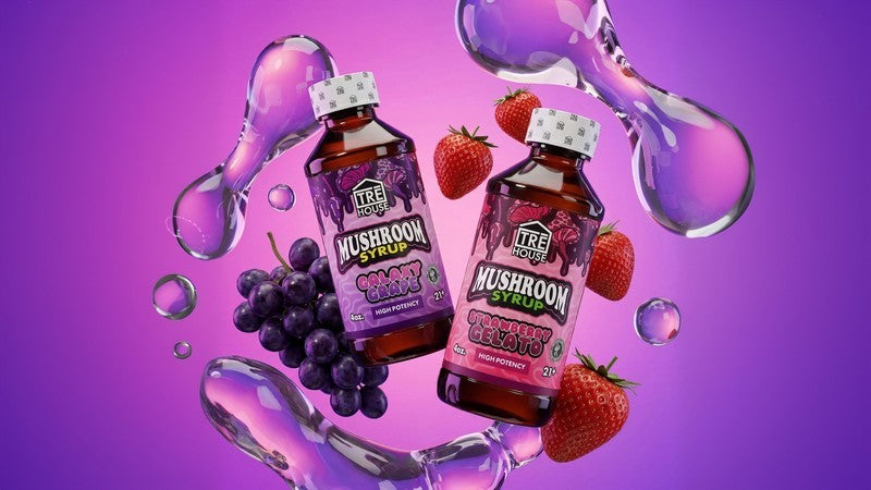 Mushroom Syrups | Natural & Unique Blend Mushroom Extracts - TRĒ House